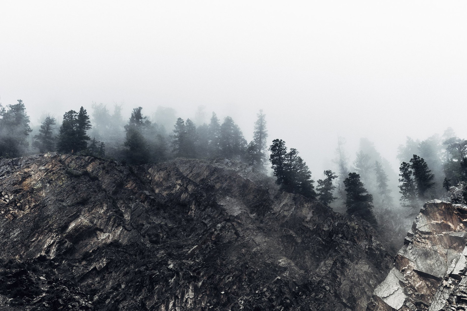 David Fitt - American Escape | The Independent Photographer