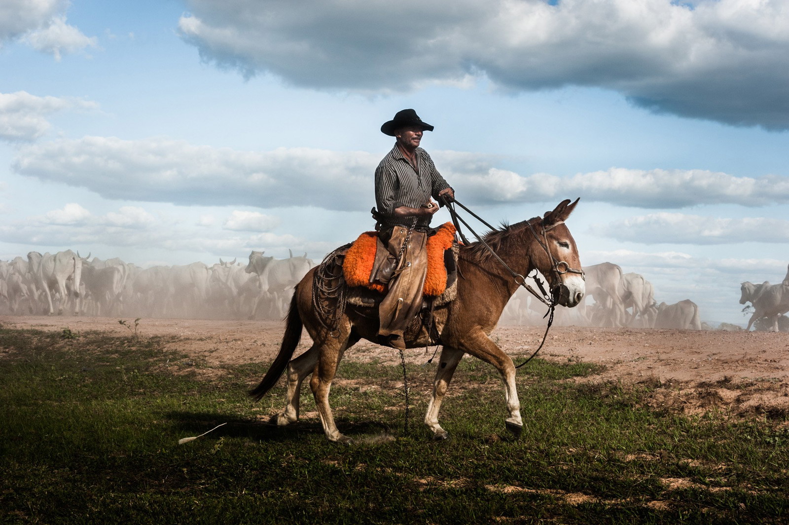 Luis Fabini - Cowboys of the Americas | The Independent Photographer