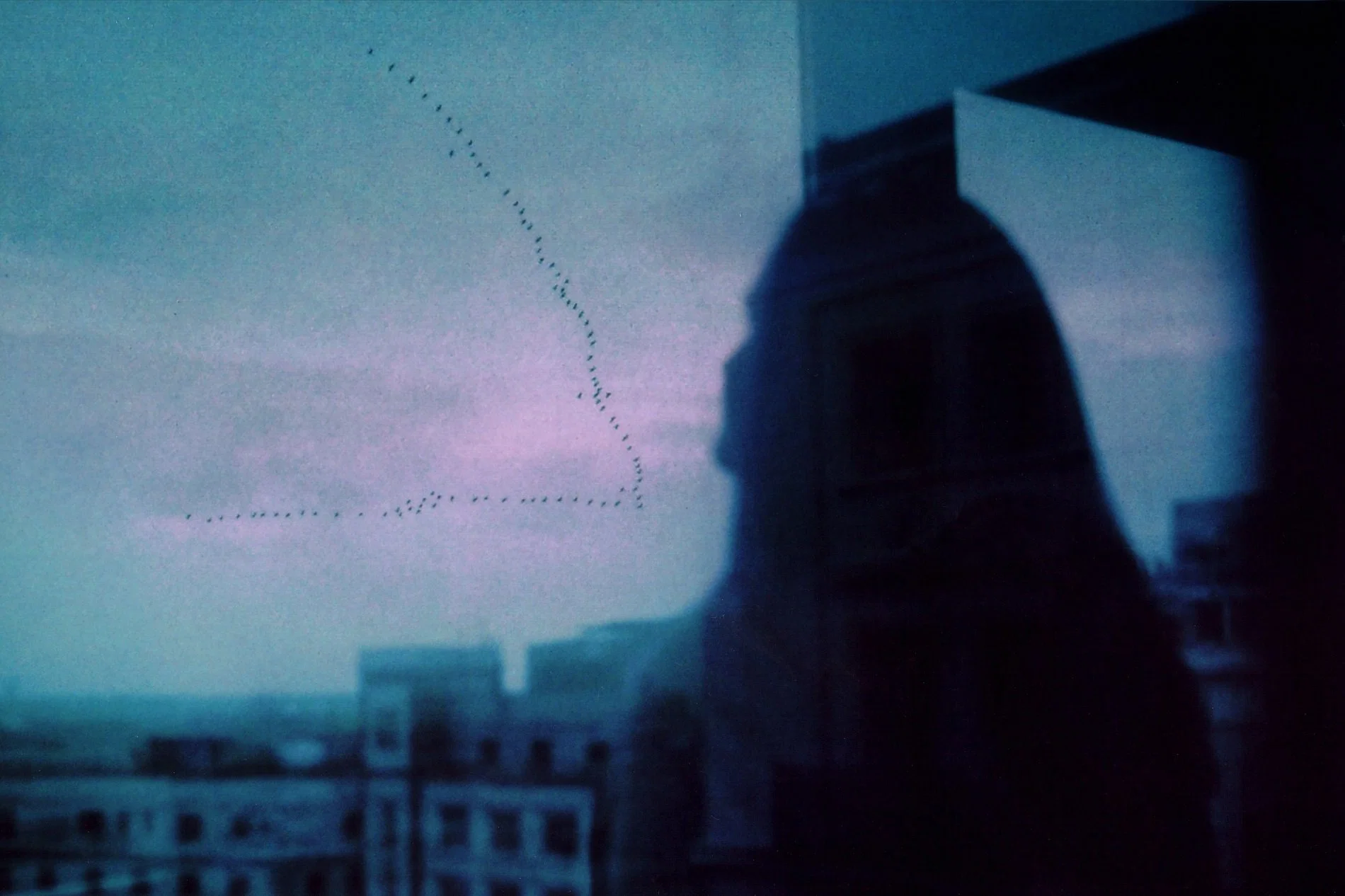Maya Beano - Nature of Dreams | The Independent Photographer