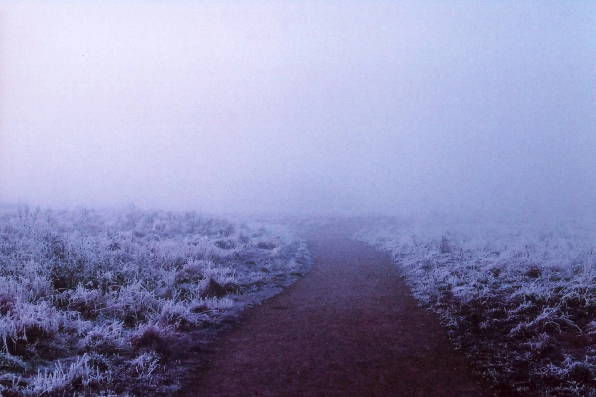 Maya Beano - Nature of Dreams | The Independent Photographer