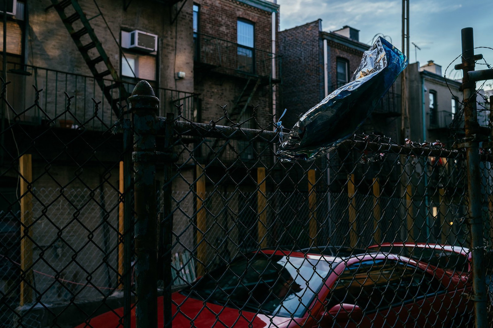 Frank Multari - Urban Flora | The Independent Photographer