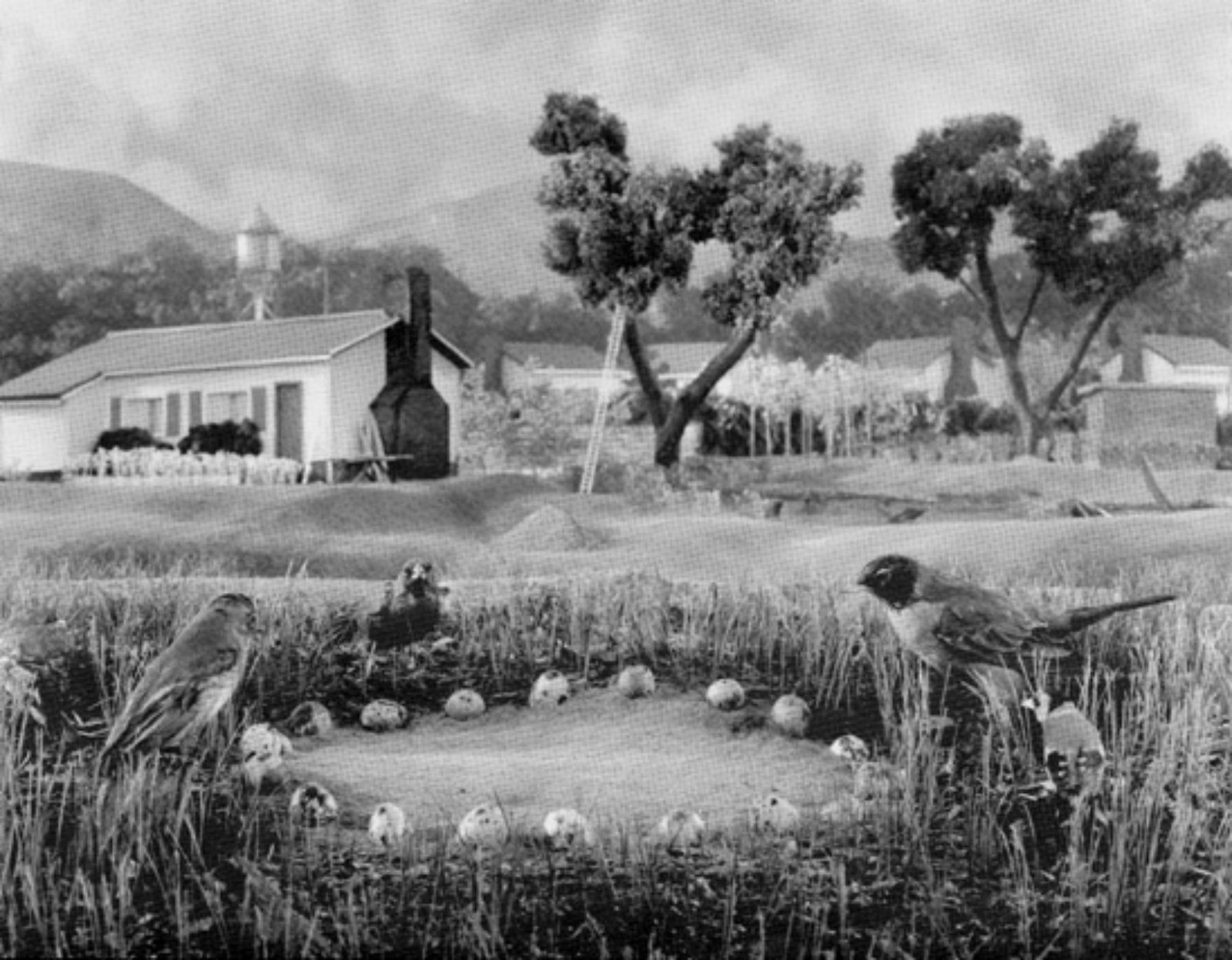 聚焦：格雷戈里·克鲁德森| The Independent Photographer