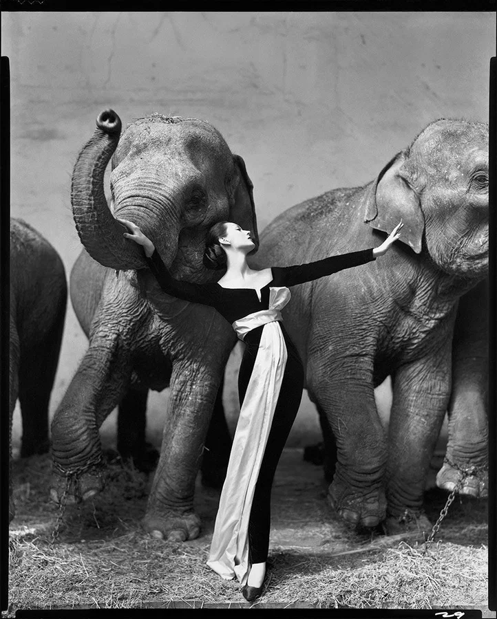 Fashion Photography in 10 Famous and Iconic Images