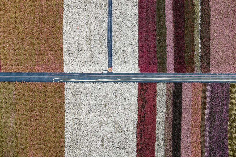 Tom Hegen | The Independent Photographer