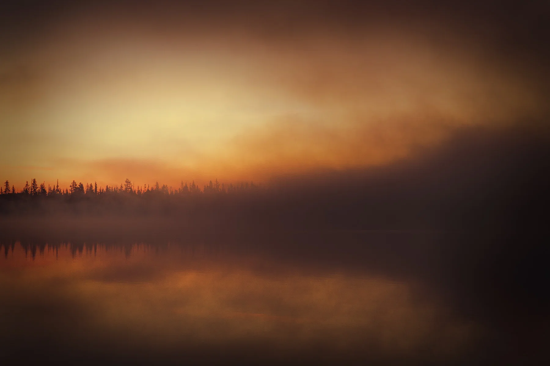 Colors of Nature | The Independent Photographer