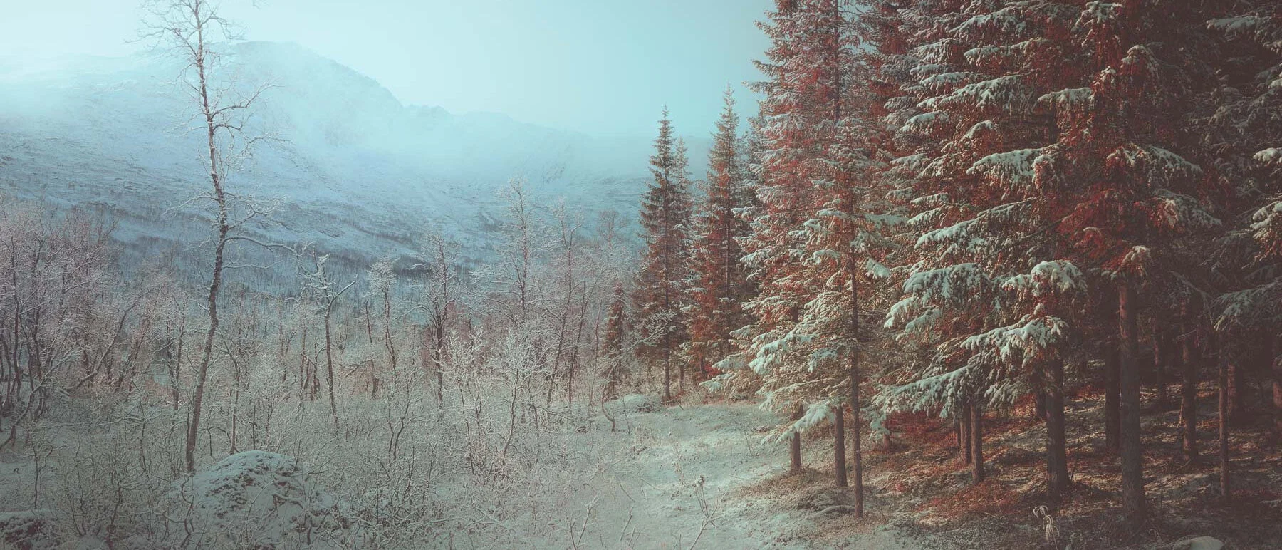 Colors of Nature | The Independent Photographer