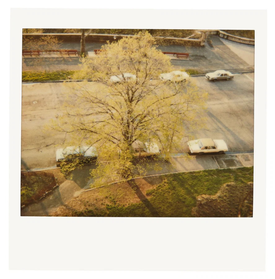 Ralph Ellison - Photographer | The Independent Photographer