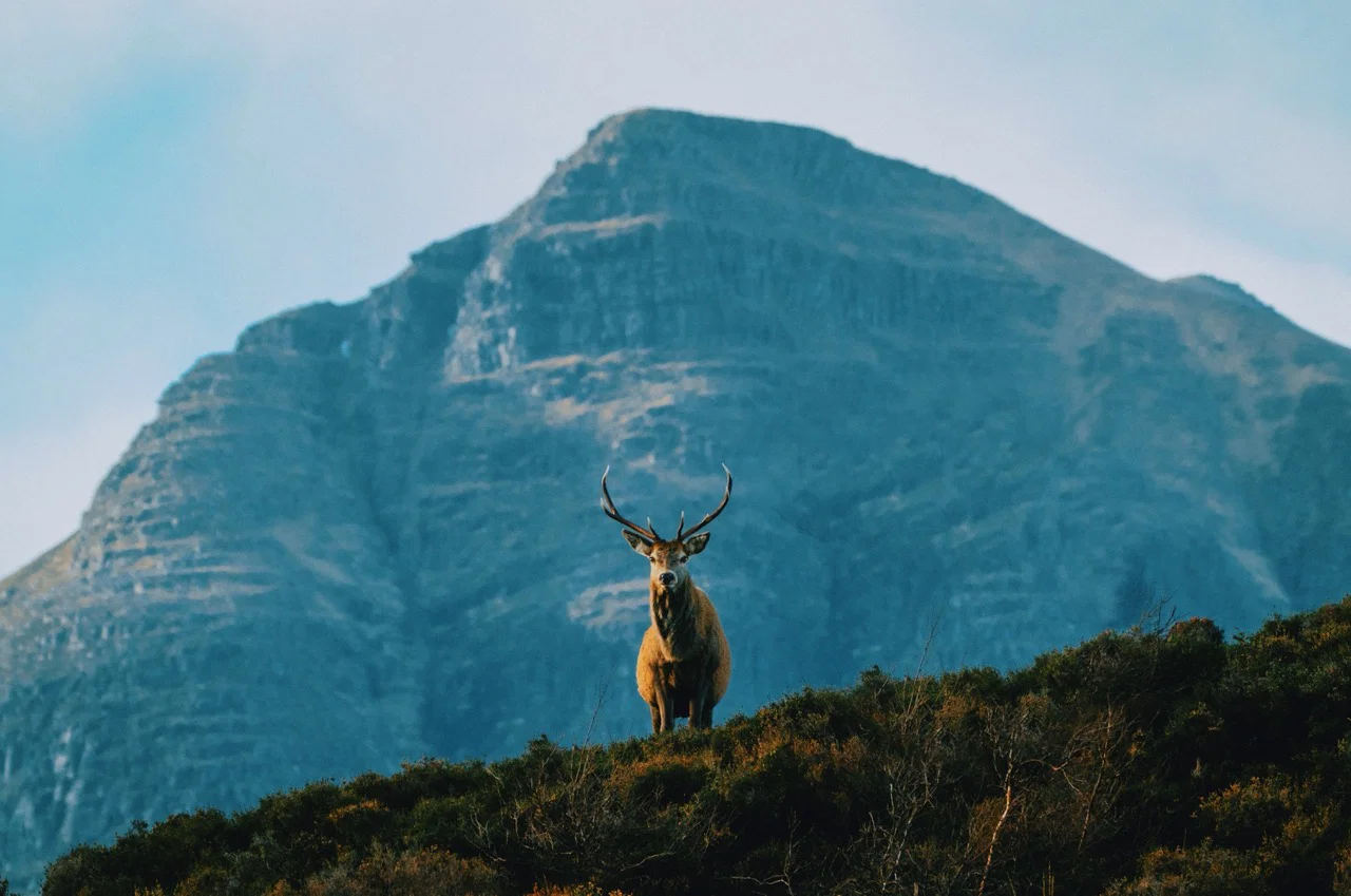 Daniel Casson's Vivid Landscapes | The Independent Photographer
