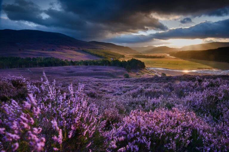Jim Richardson | The Independent Photographer