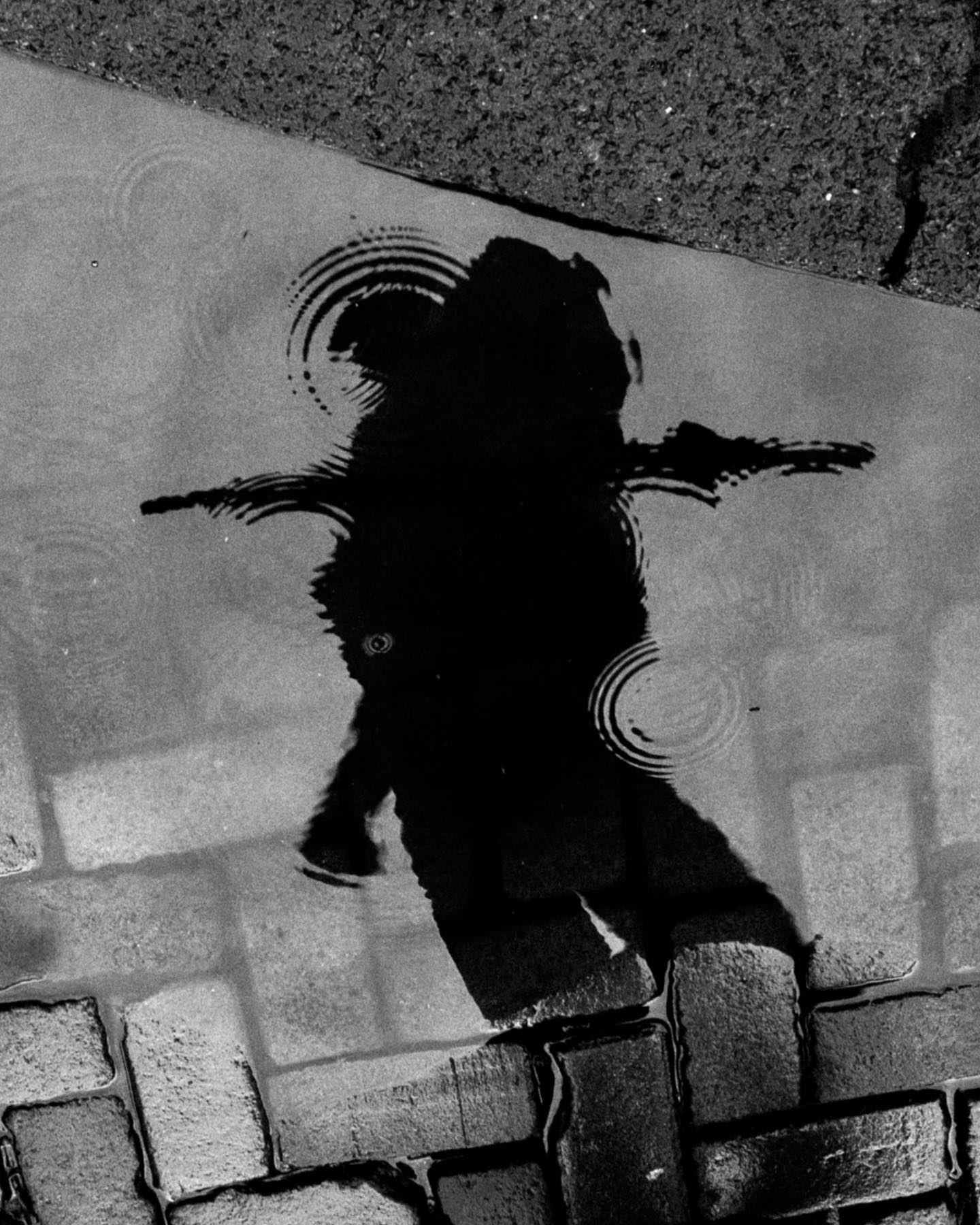 Joe Clarke's visual poetry | The Independent Photographer