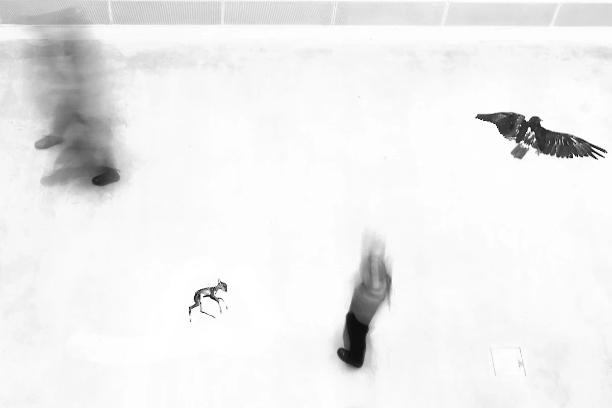 Josef Aigner | The Independent Photographer