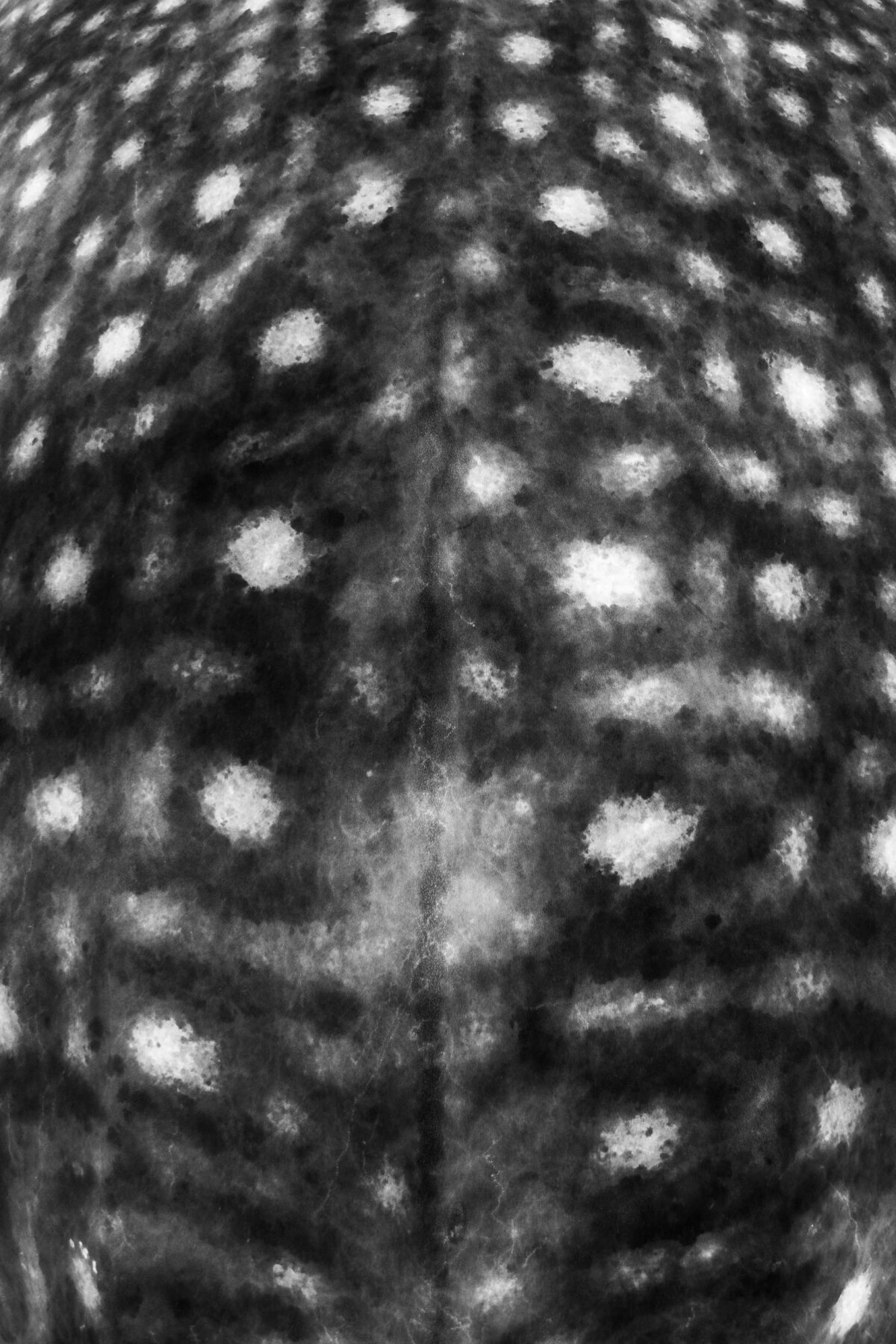 Violeta Brosig | The Independent Photographer