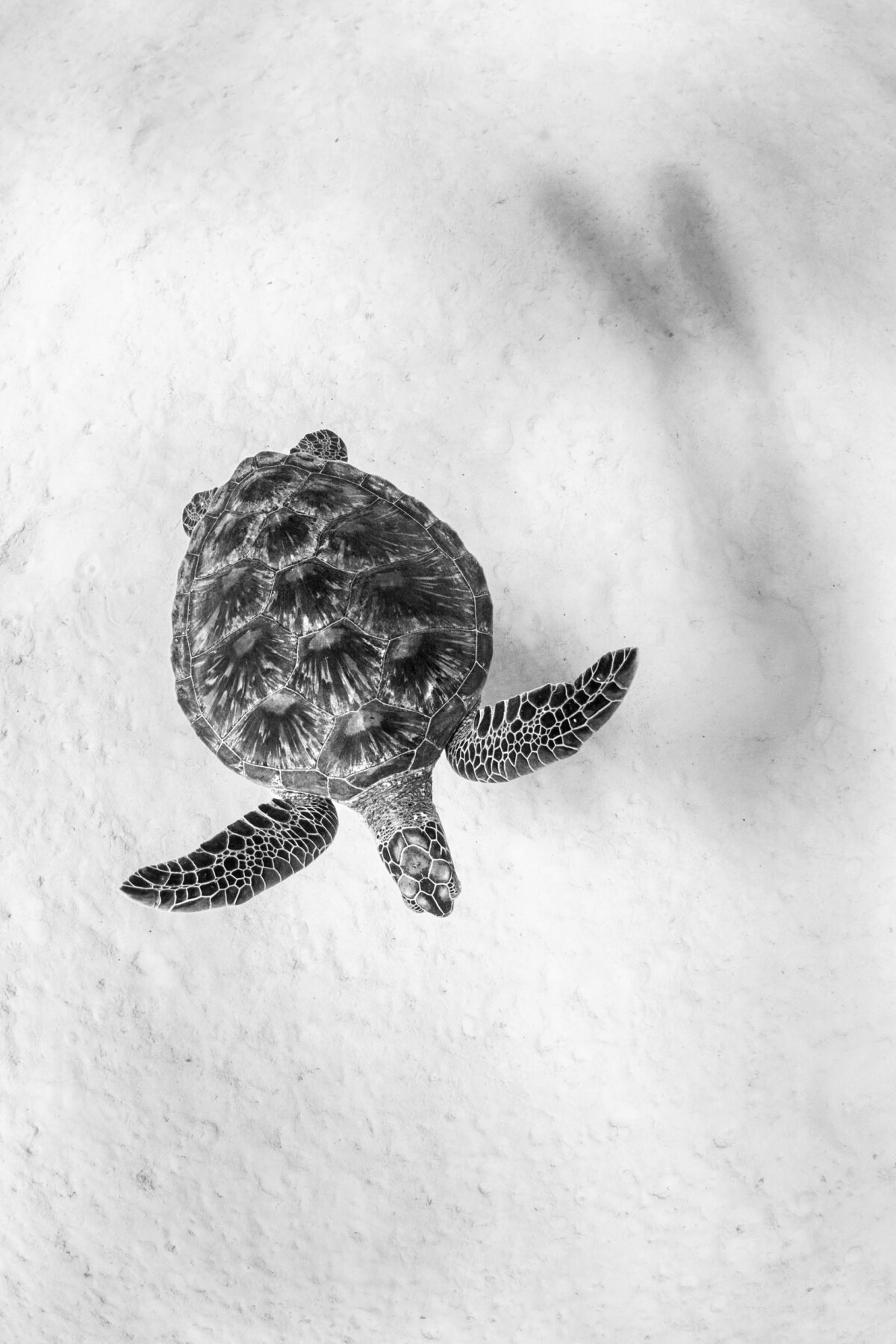 Violeta Brosig | The Independent Photographer