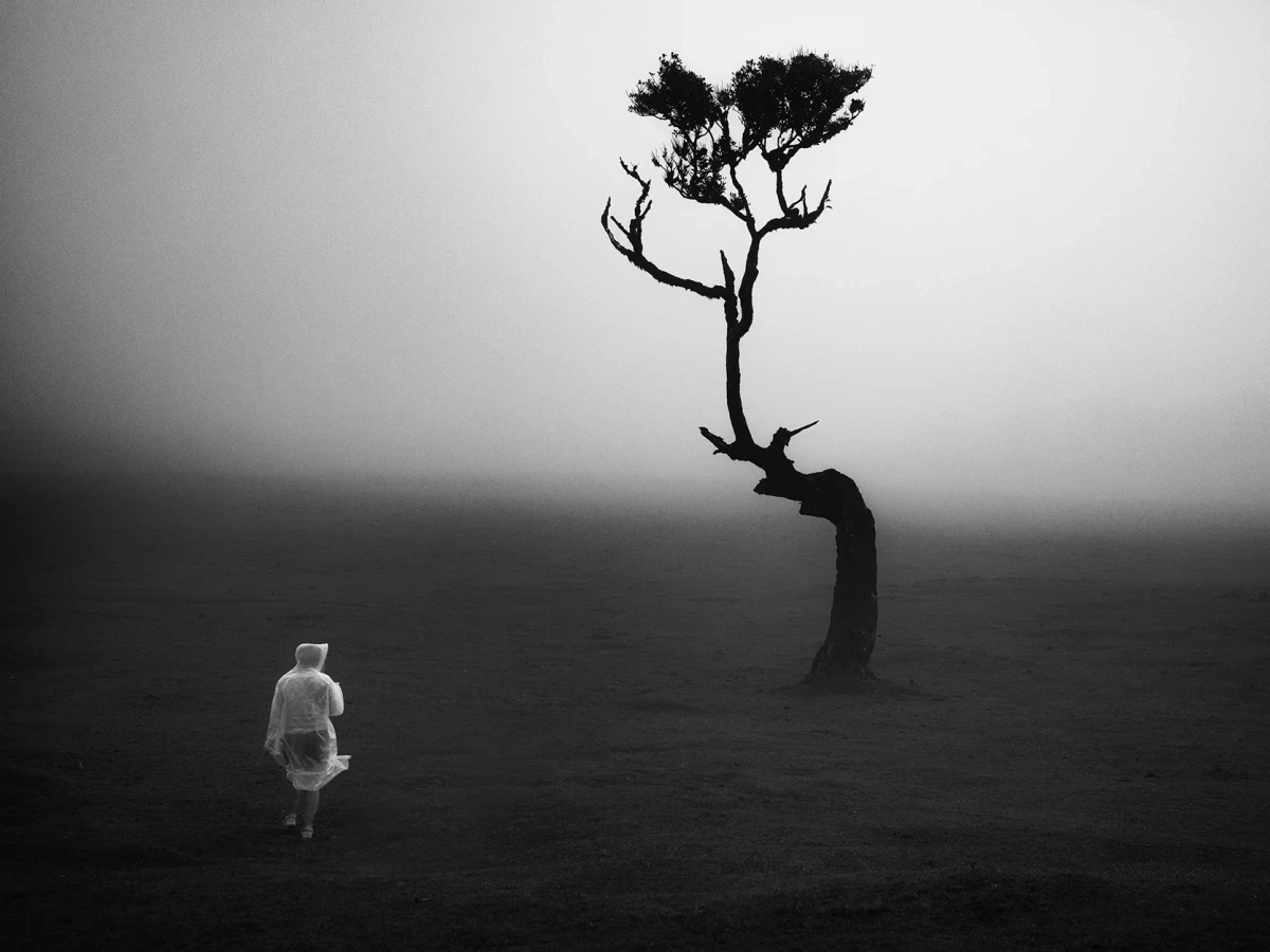 Marc Apers | The Independent Photographer