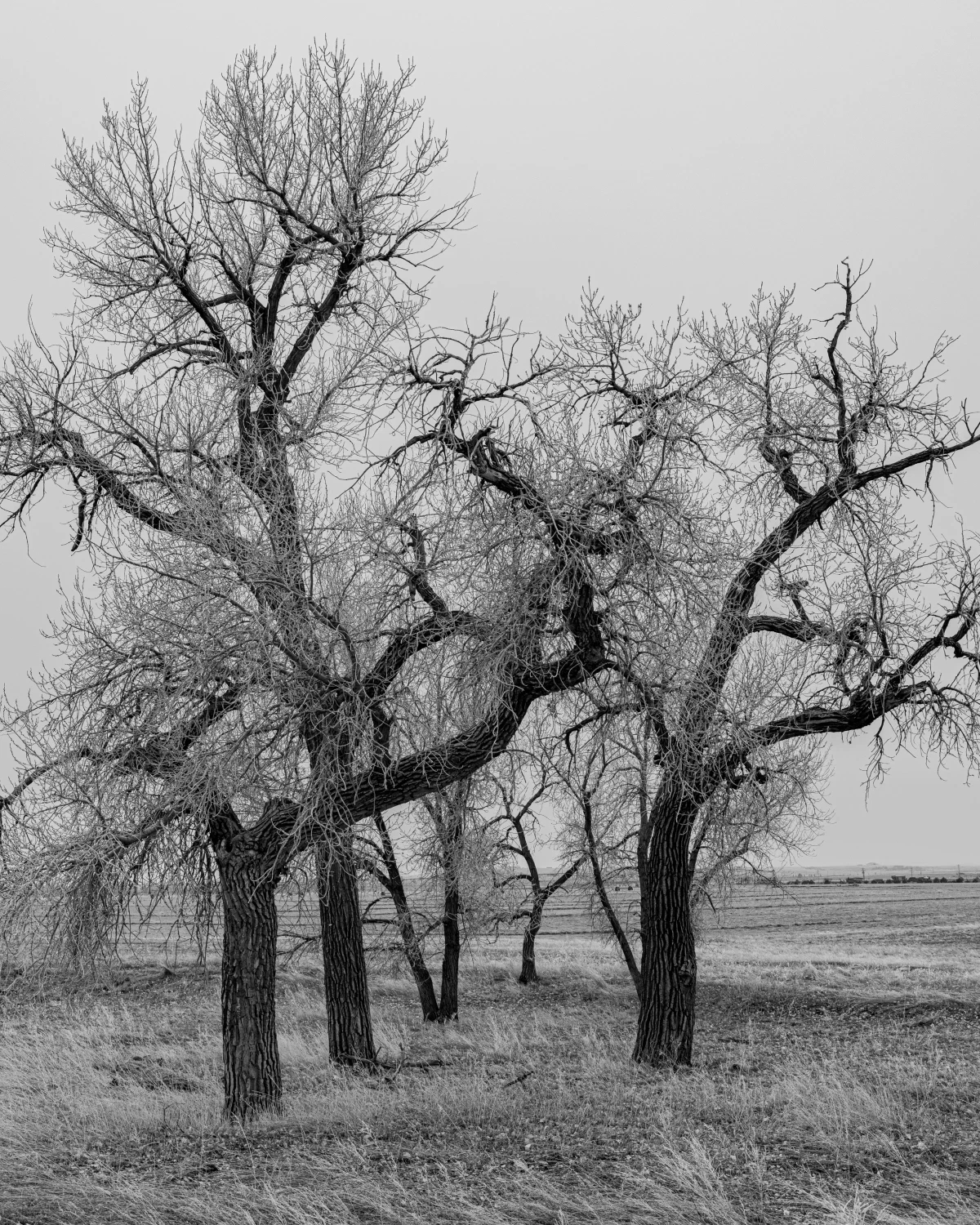 Carl Steitz | The Independent Photographer