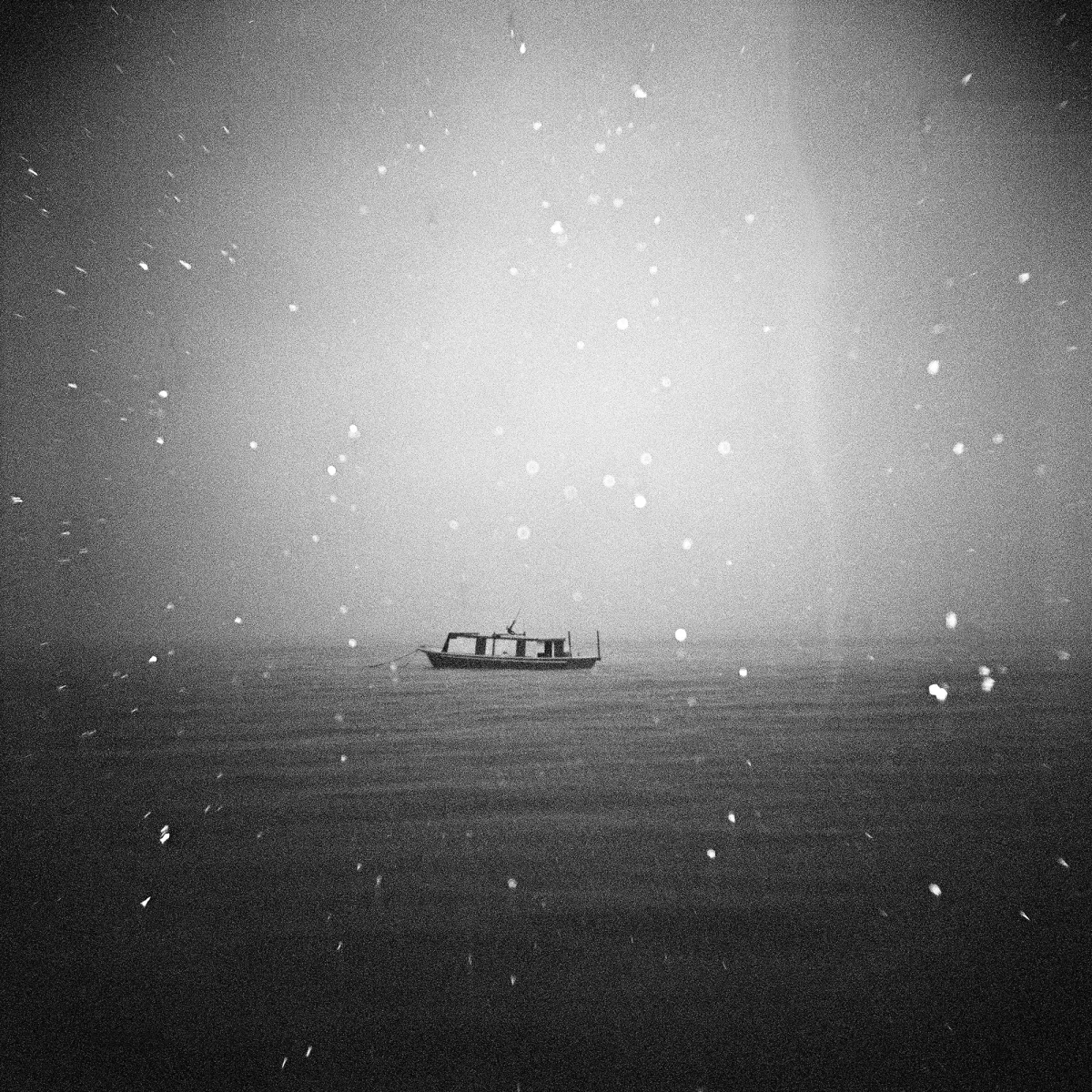 Lei jiang | The Independent Photographer
