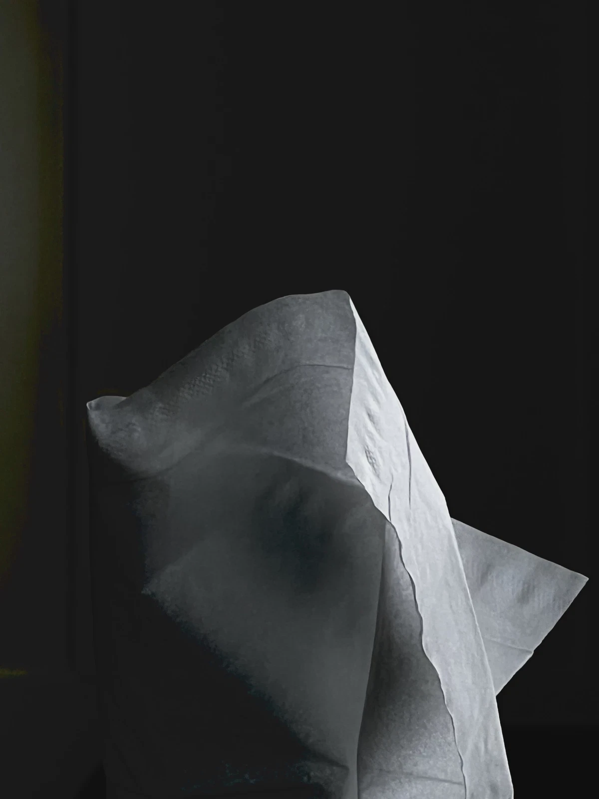 Robert Adler | The Independent Photographer