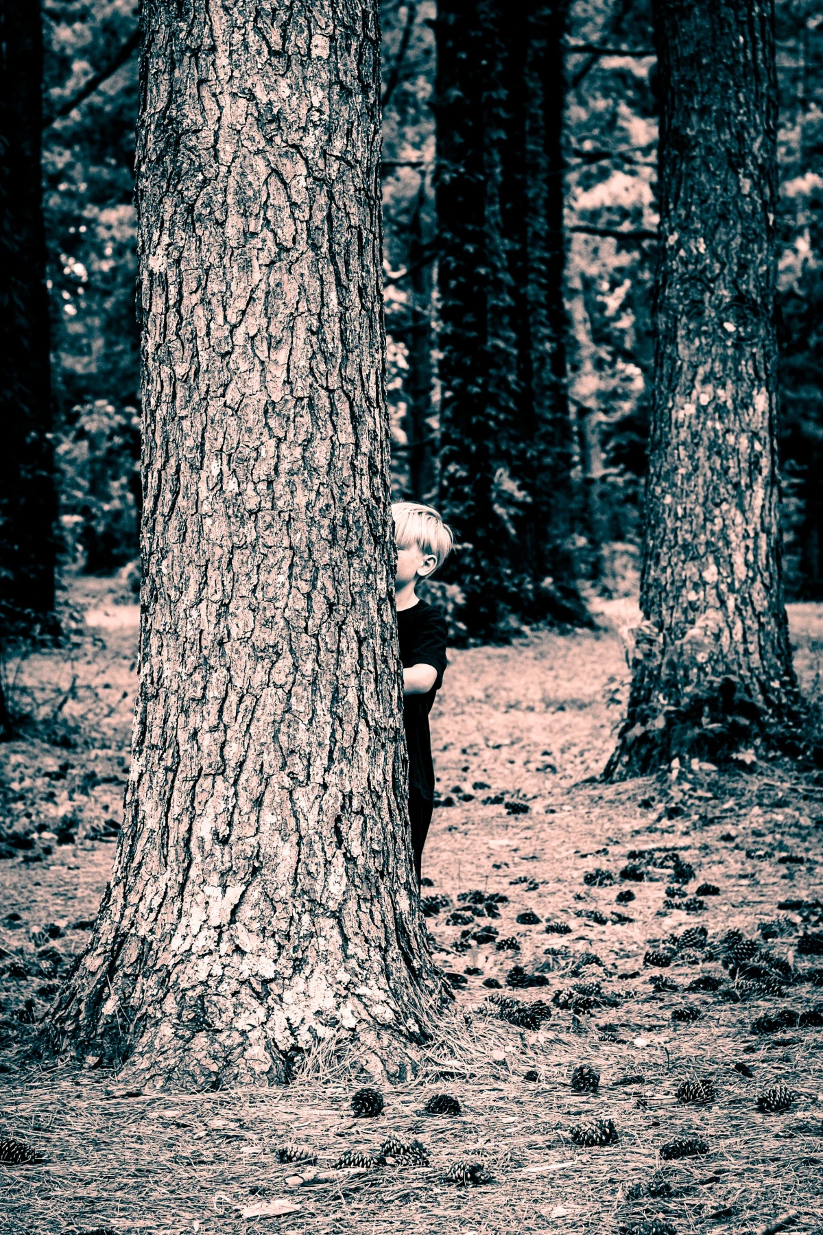 Helen Morrison | The Independent Photographer