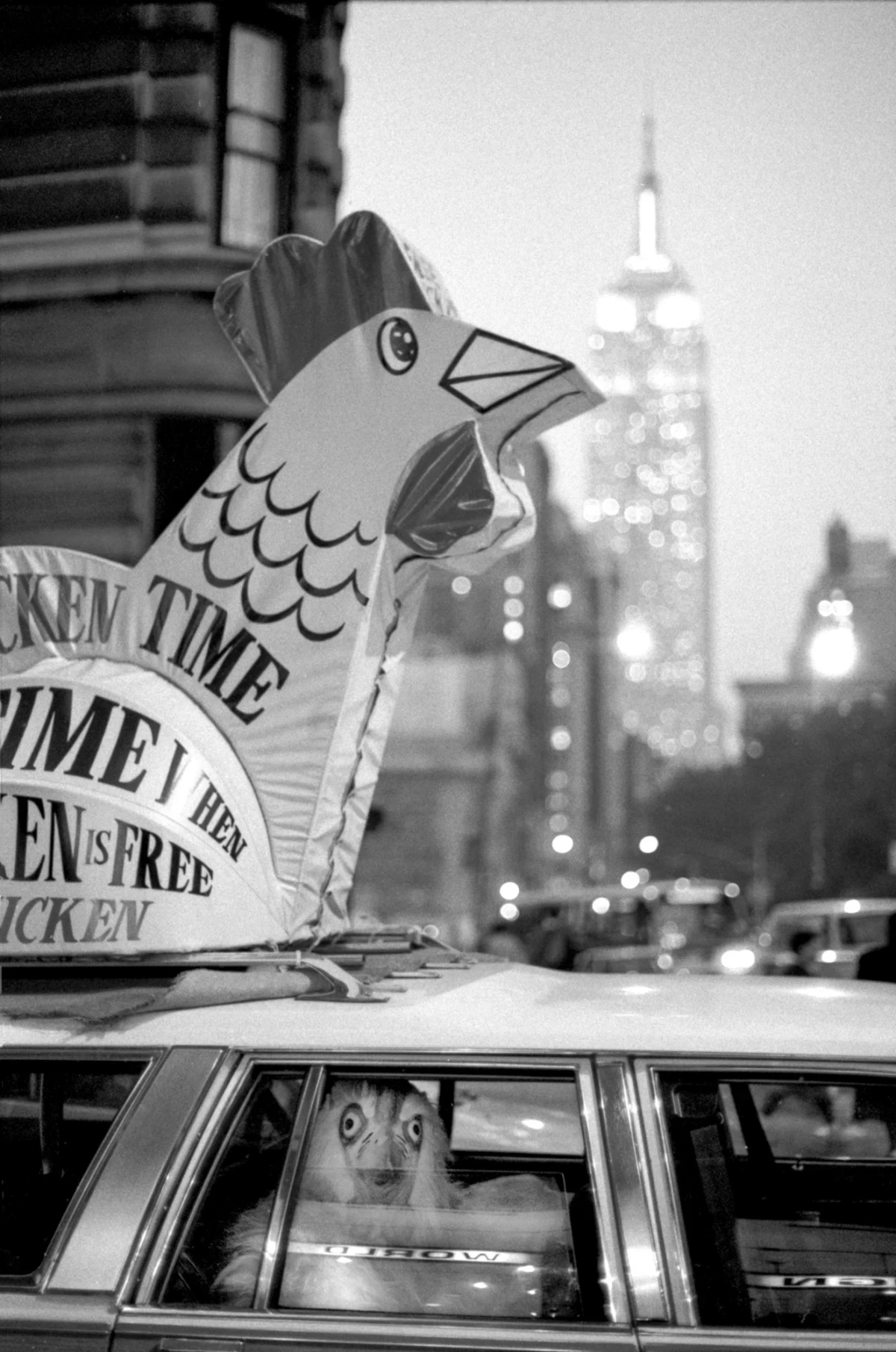 Charles Ford | The Independent Photographer