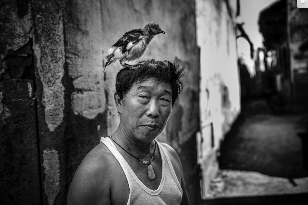 yong Deng | The Independent Photographer