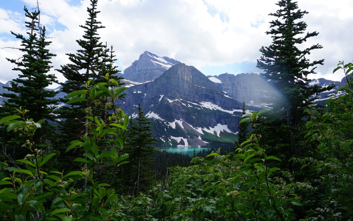 Ally Carpenter | The Independent Photographer