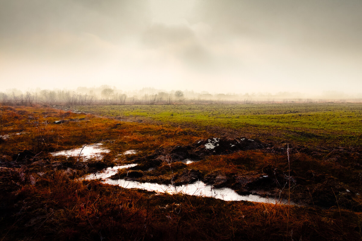 Josip Miskovic | The Independent Photographer