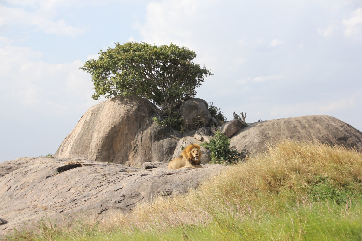 Hanumantha Hari | The Independent Photographer