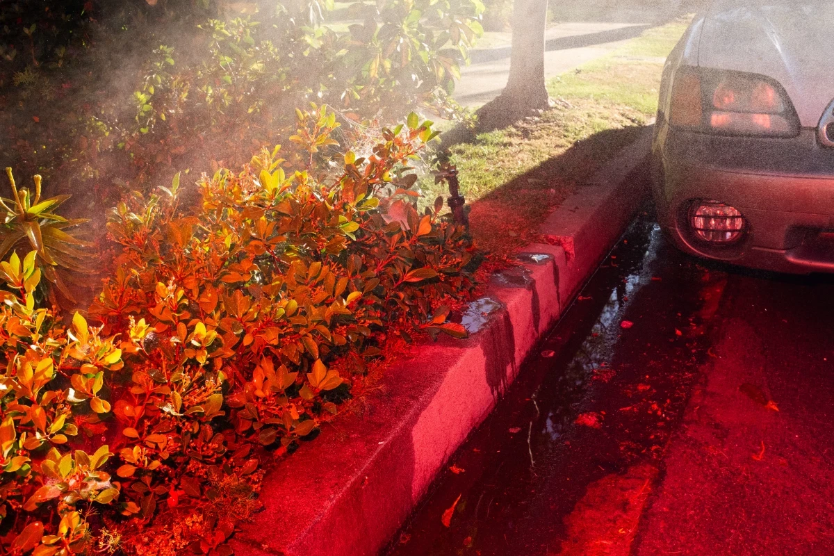 Jason Garofolo | The Independent Photographer